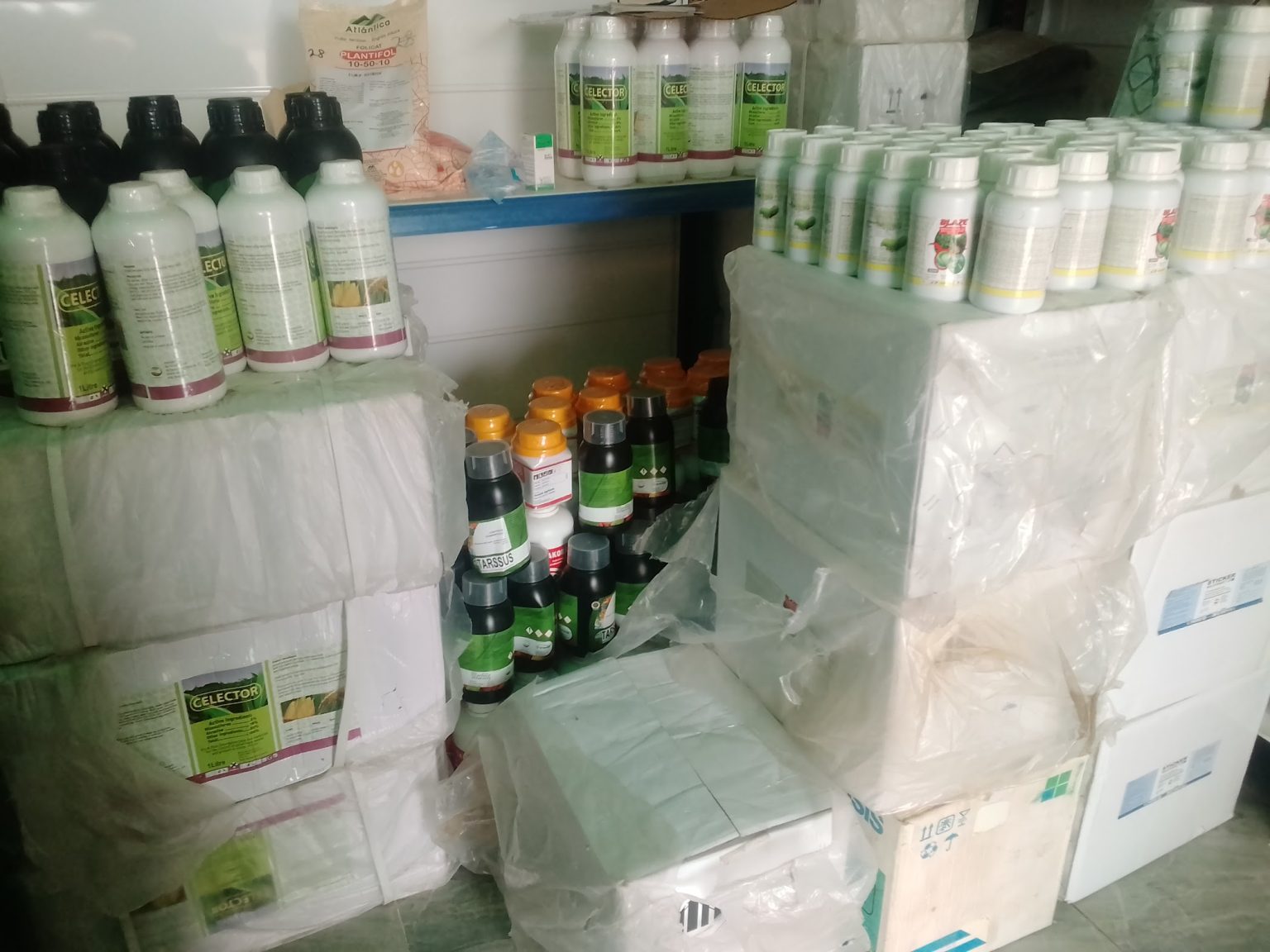 Gallery – Agromonti Company Limited | Ghana 🇬🇭 – TortoisePath ...