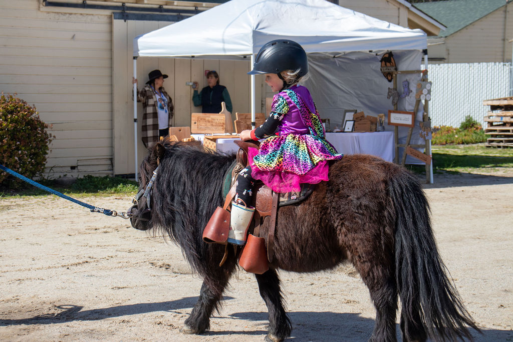 Chaparral Ranch at Marina Equestrian Center guide and local context ...