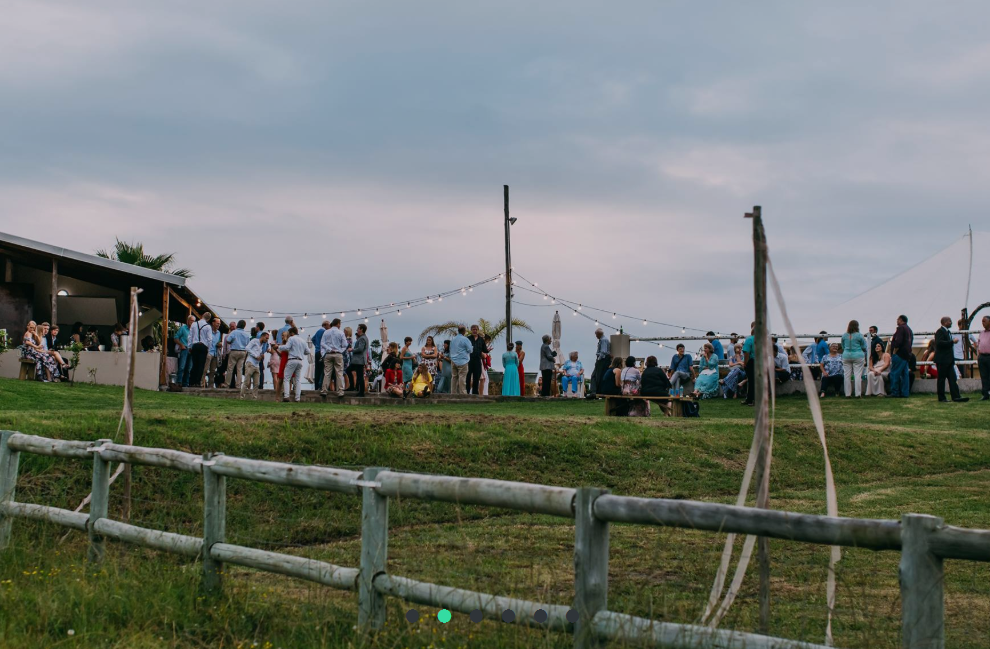 The Wild Grove | South Africa – TortoisePath | Celebrations 🎉