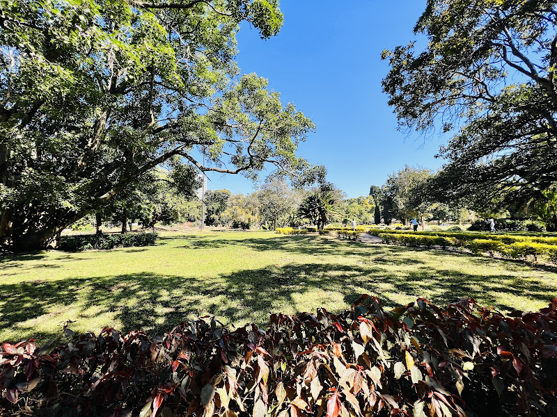 Harare Gardens | Gabon | Gabon guide and local context – TortoisePath News