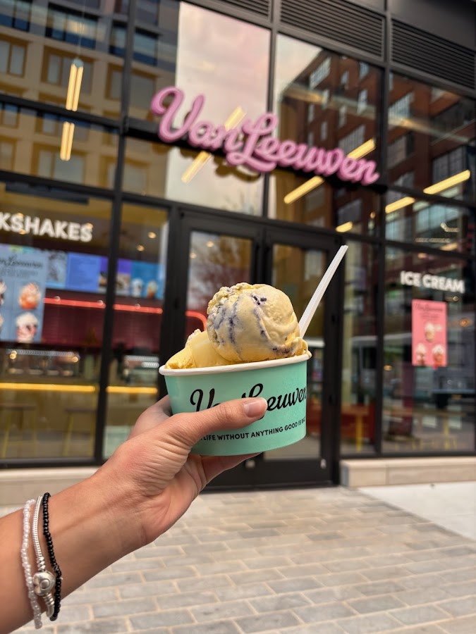 Van Leeuwen Ice Cream | Georgia USA 🇺🇸 guide and local context ...