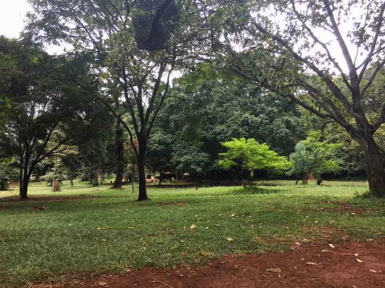 The Nairobi Arboretum – TortoisePath | Kenya 🇰🇪