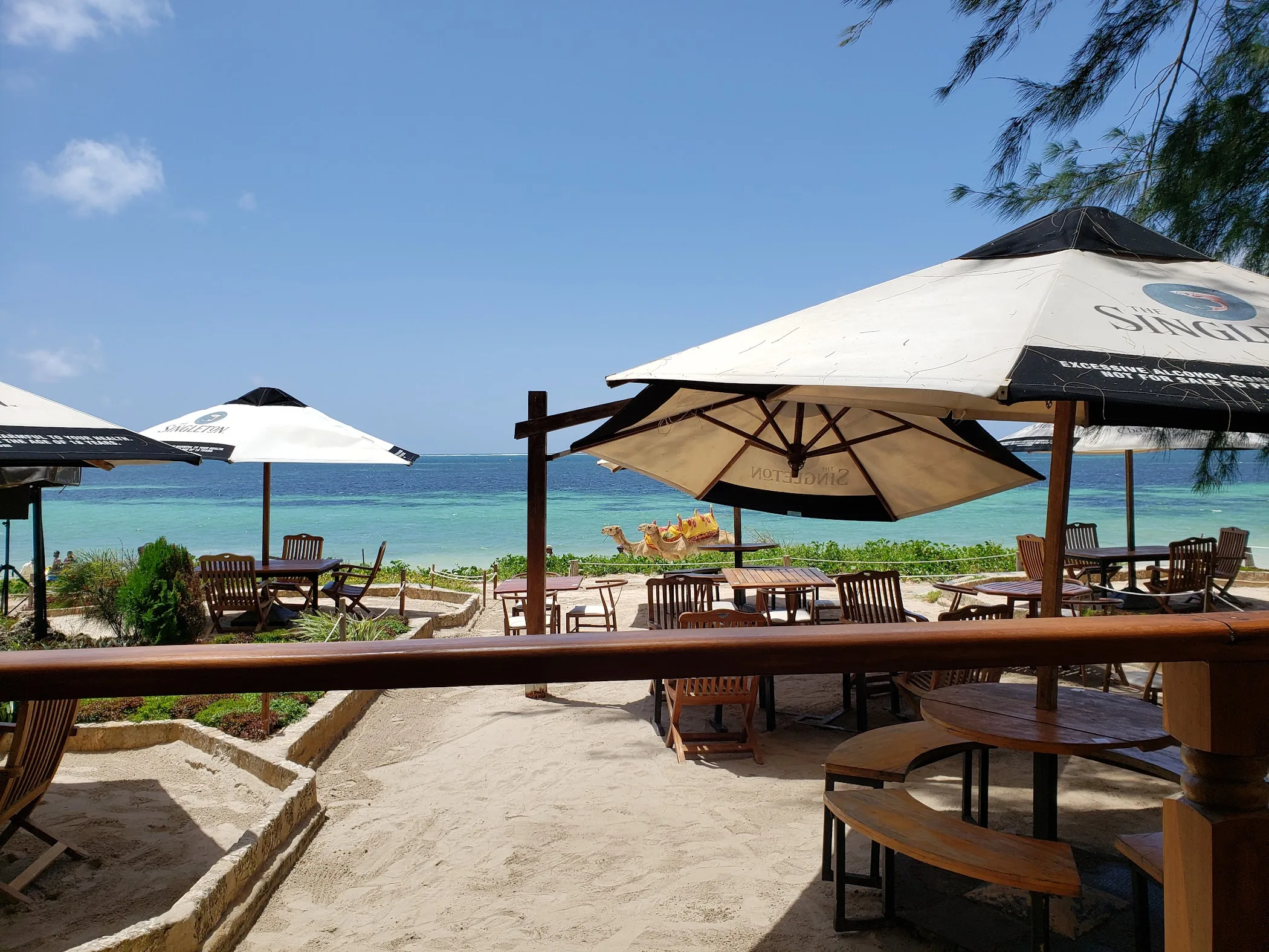 Char-Choma Restaurant – TortoisePath | Kenya 🇰🇪