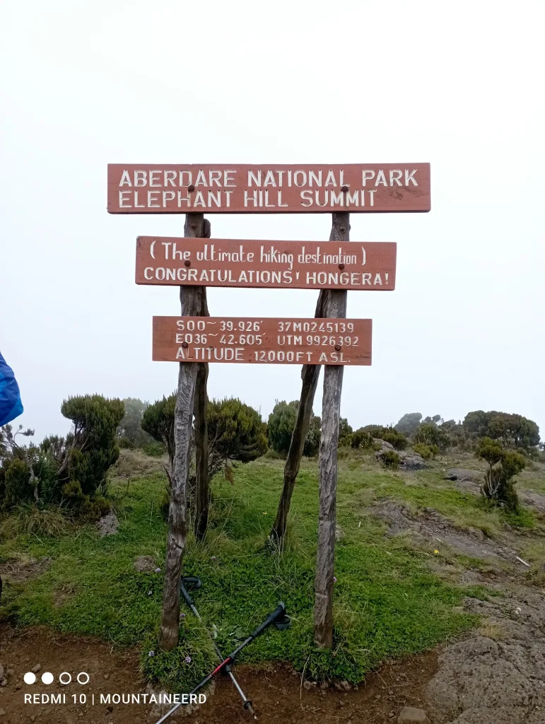 Elephant Hill – TortoisePath | Kenya 🇰🇪