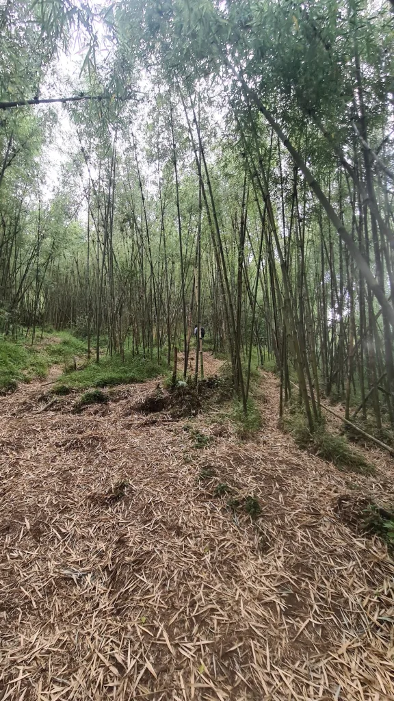 Elephant Hill – TortoisePath | Kenya 🇰🇪