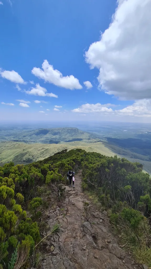 Elephant Hill – TortoisePath | Kenya 🇰🇪