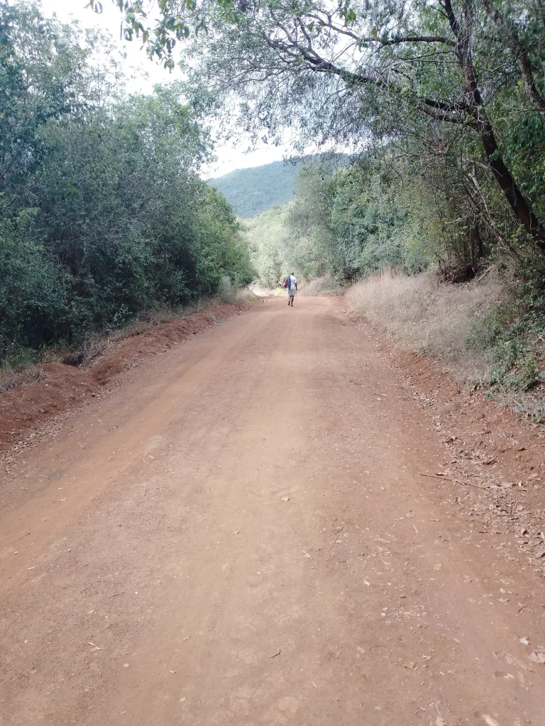Mount Kilimambogo | Peak – TortoisePath | Kenya 🇰🇪