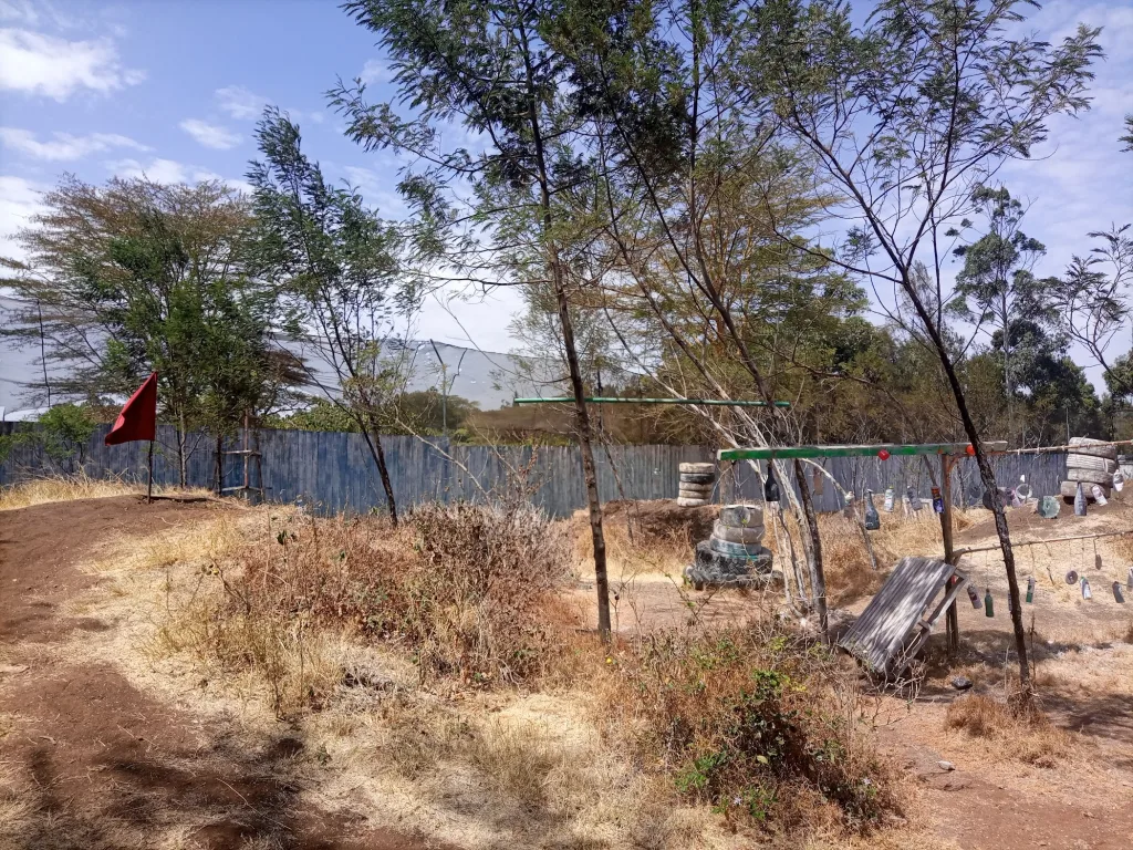 Paintball Fury | Kenya – TortoisePath | Kenya 🇰🇪