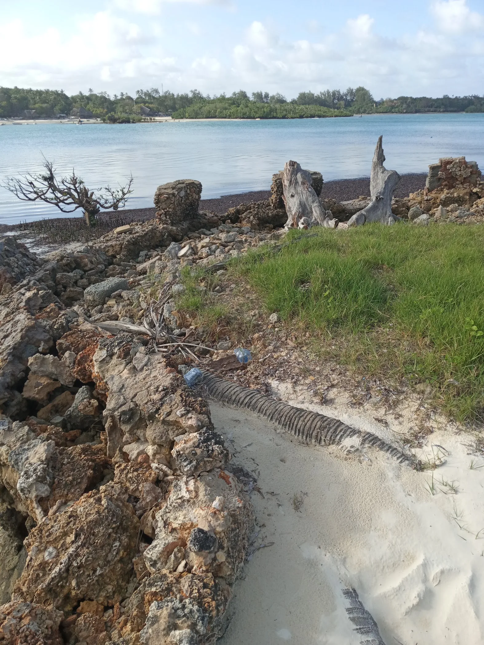 Marina Bay Beach Shanzu | Mombasa – TortoisePath | Kenya 🇰🇪