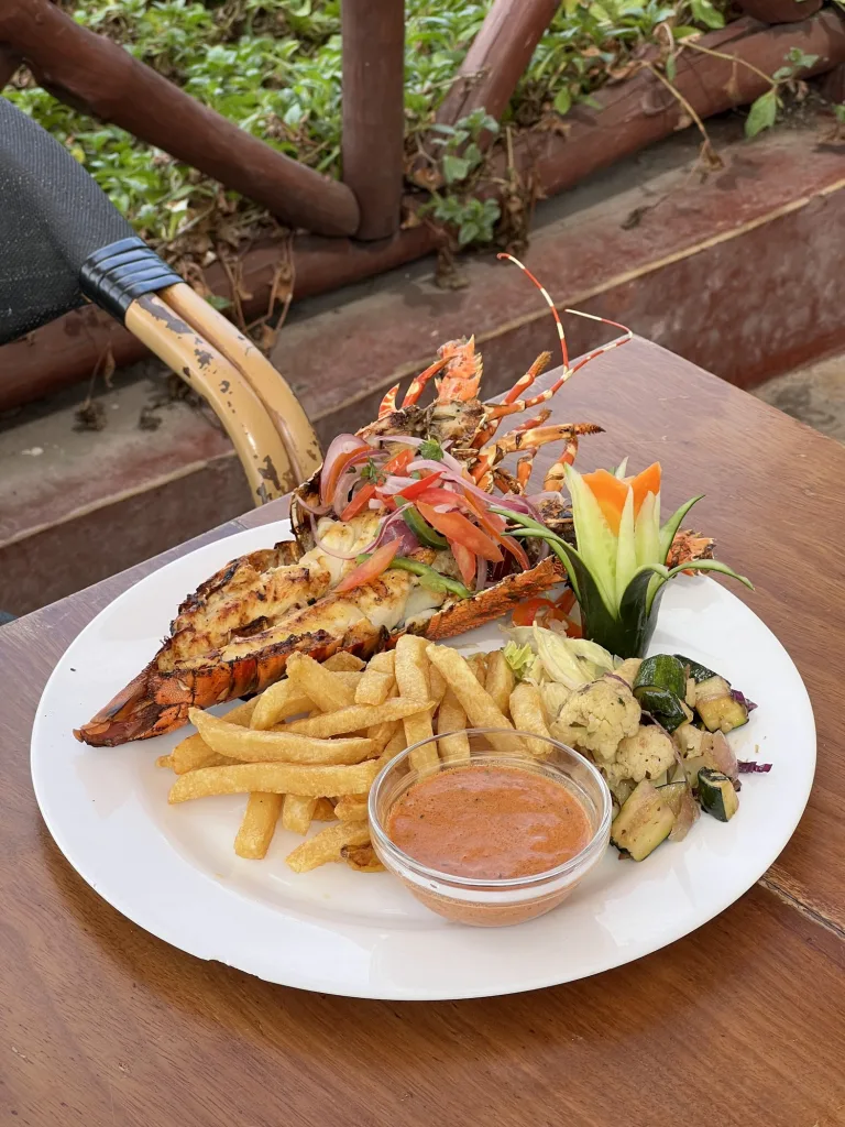 Forodhani Restaurant – TortoisePath | Kenya 🇰🇪