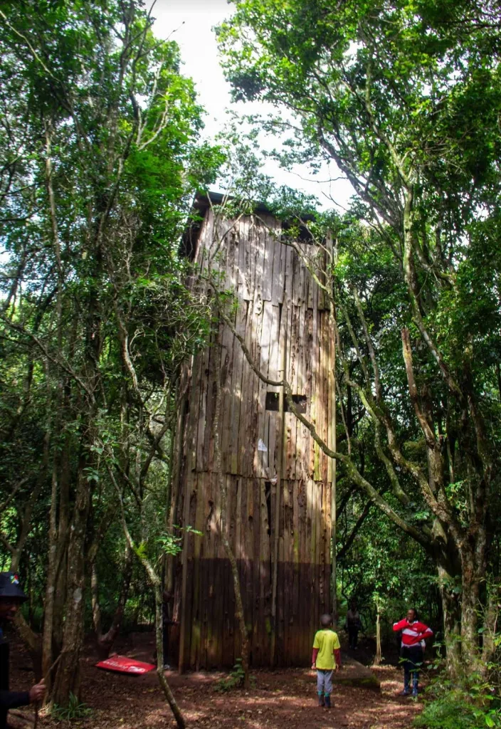 The Oloolua Nature Trail – TortoisePath | Kenya 🇰🇪