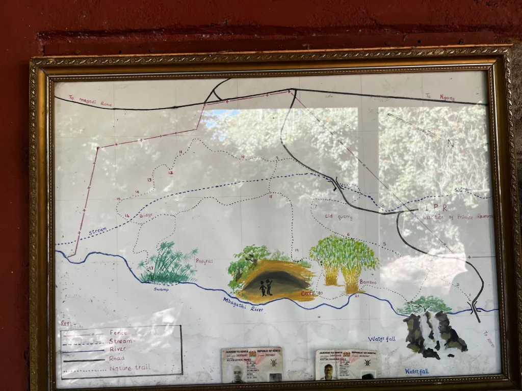 The Oloolua Nature Trail – TortoisePath | Kenya 🇰🇪