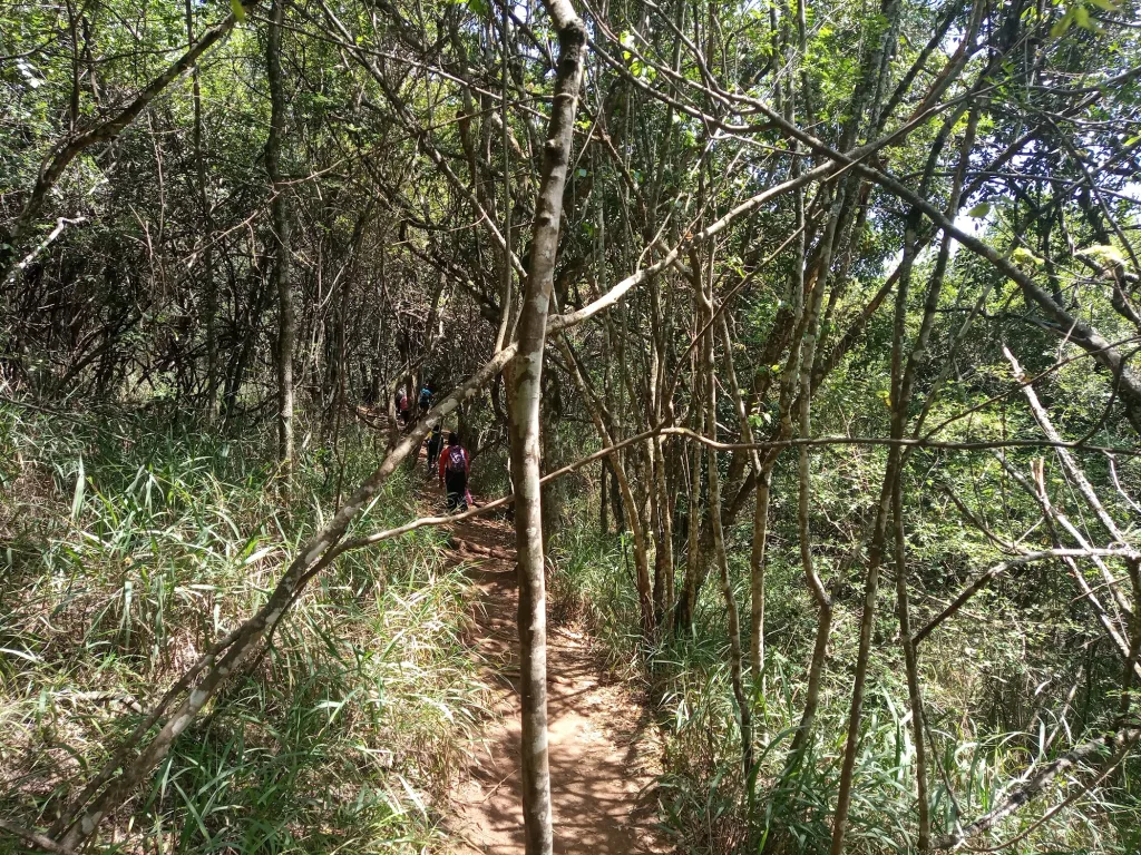 The Oloolua Nature Trail – TortoisePath | Kenya 🇰🇪