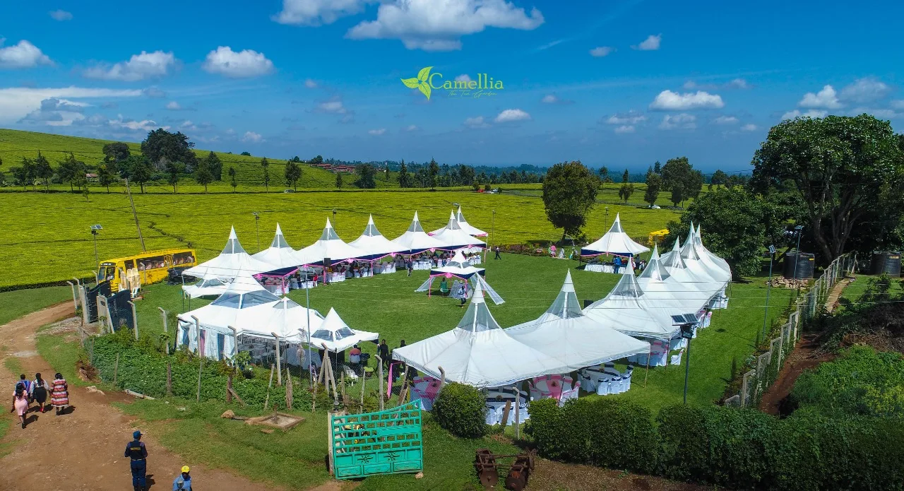 Camellia Gardens Limuru – TortoisePath | Kenya 🇰🇪