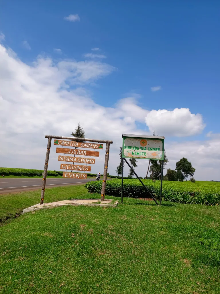 Camellia Gardens Limuru – TortoisePath | Kenya 🇰🇪