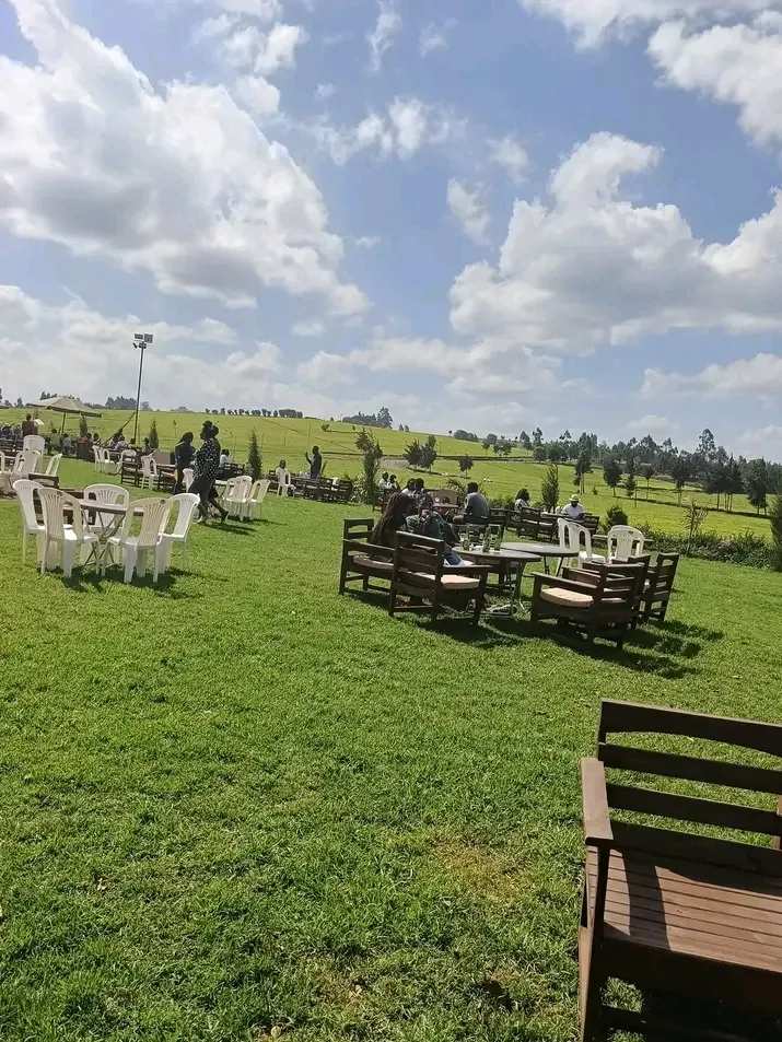 Camellia Gardens Limuru – TortoisePath | Kenya 🇰🇪