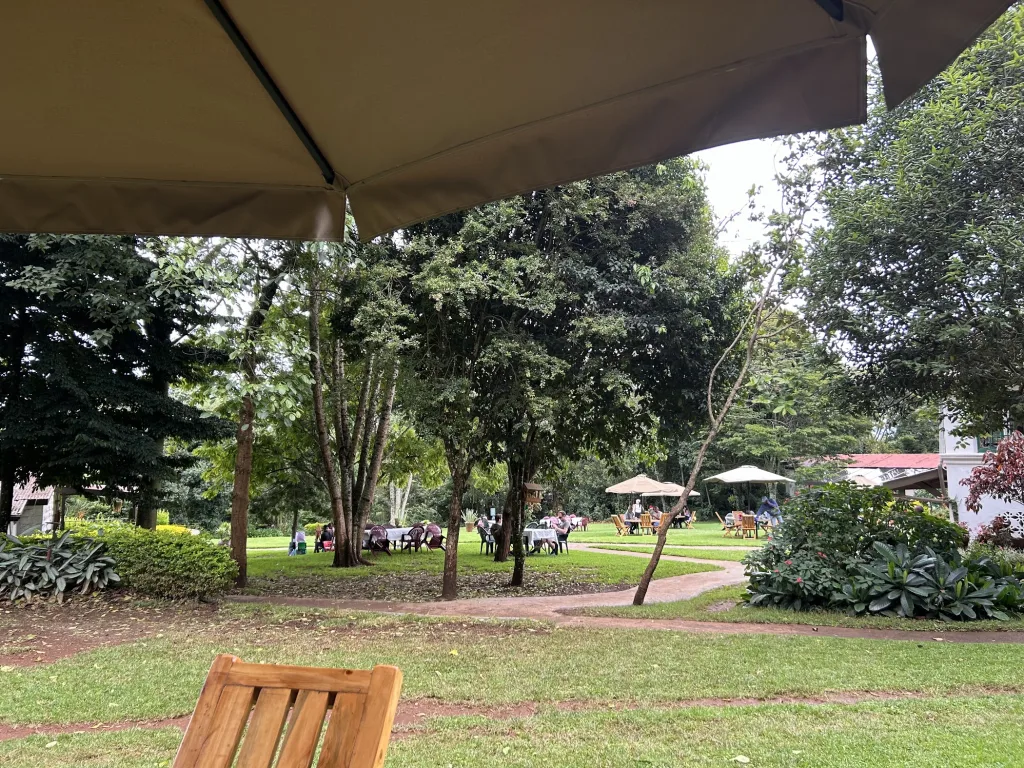 Muna Tree Cafe at Brackenhurst – TortoisePath | Kenya 🇰🇪