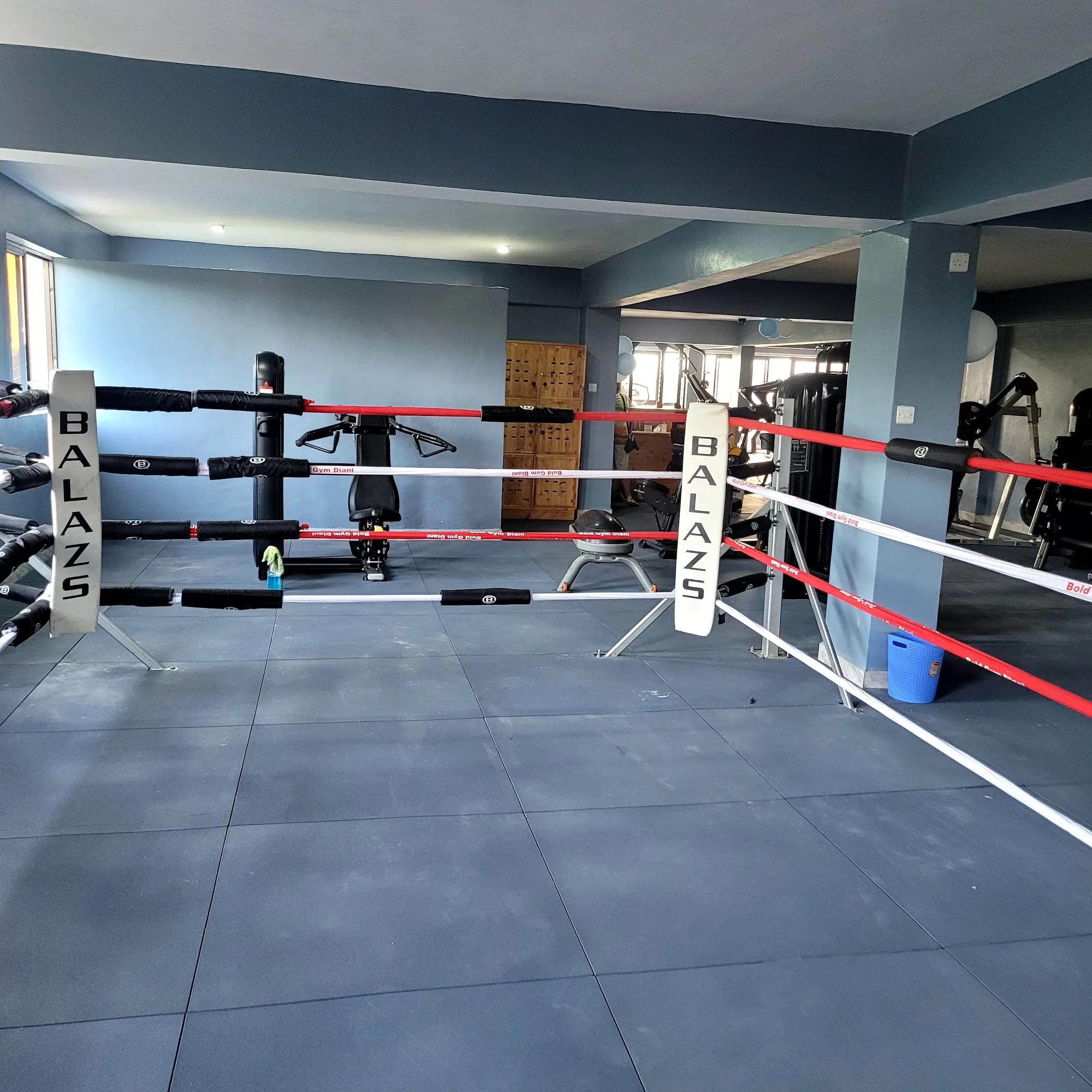 Bold Gym International – TortoisePath | Kenya 🇰🇪