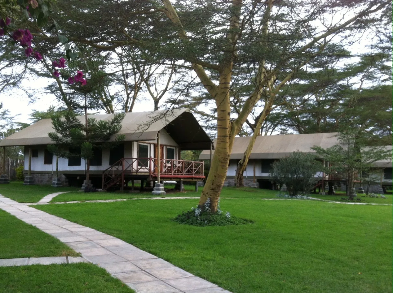 Marina Camp Site – TortoisePath | Kenya 🇰🇪