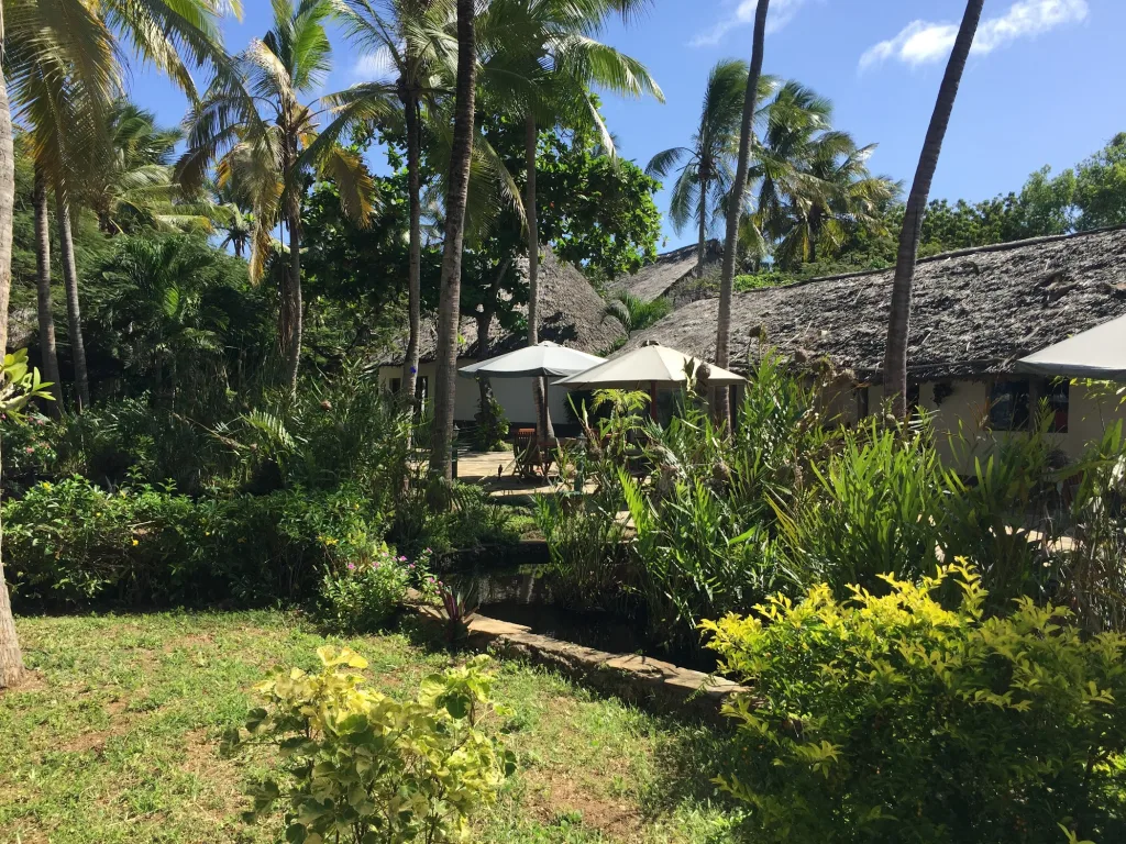 Turtle Bay Beach Resort Watamu – TortoisePath | Kenya 🇰🇪