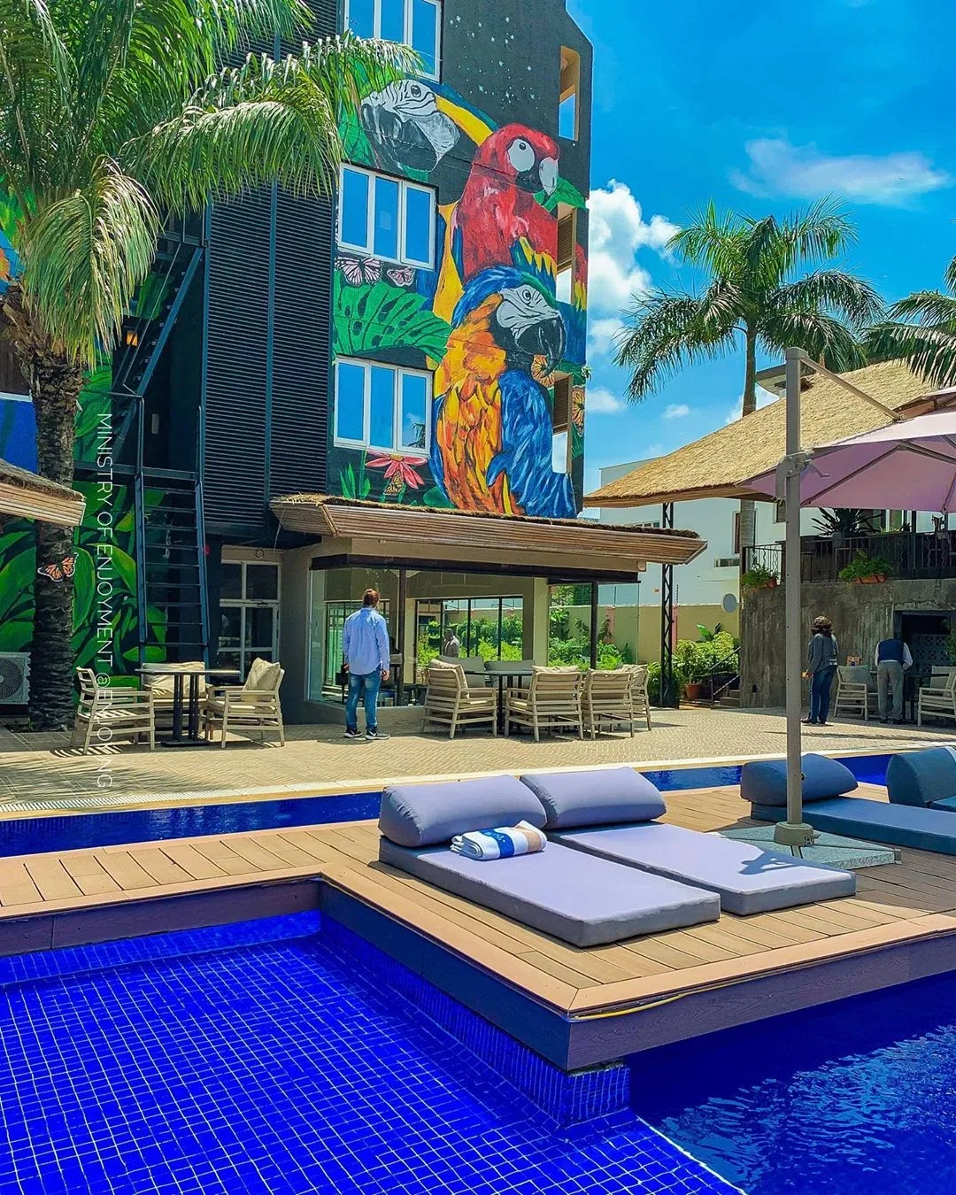 The Blowfish Hotel guide and local context – TortoisePath News