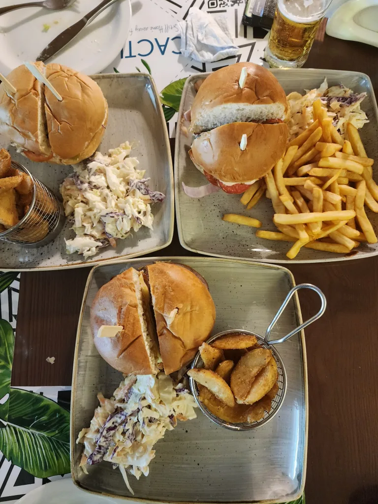 Cactus Restaurant – TortoisePath | Nigeria 🇳🇬