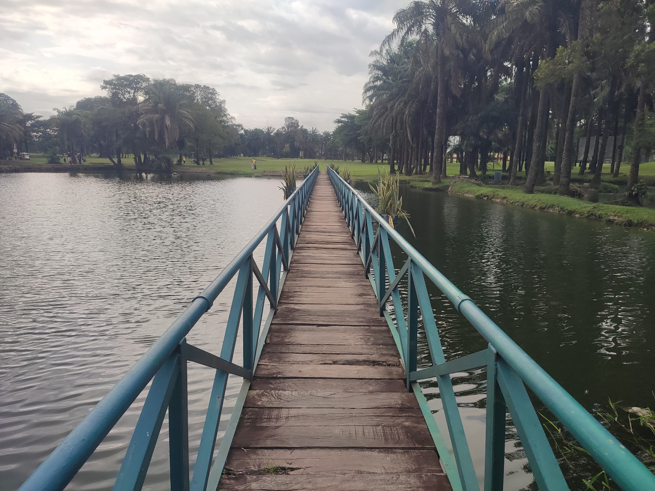 Ikoyi Golf Club – TortoisePath | Nigeria 🇳🇬