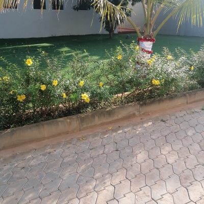 IB Arthur School | Ghana 🇬🇭 – TortoisePath | SchoolFinder 🎓