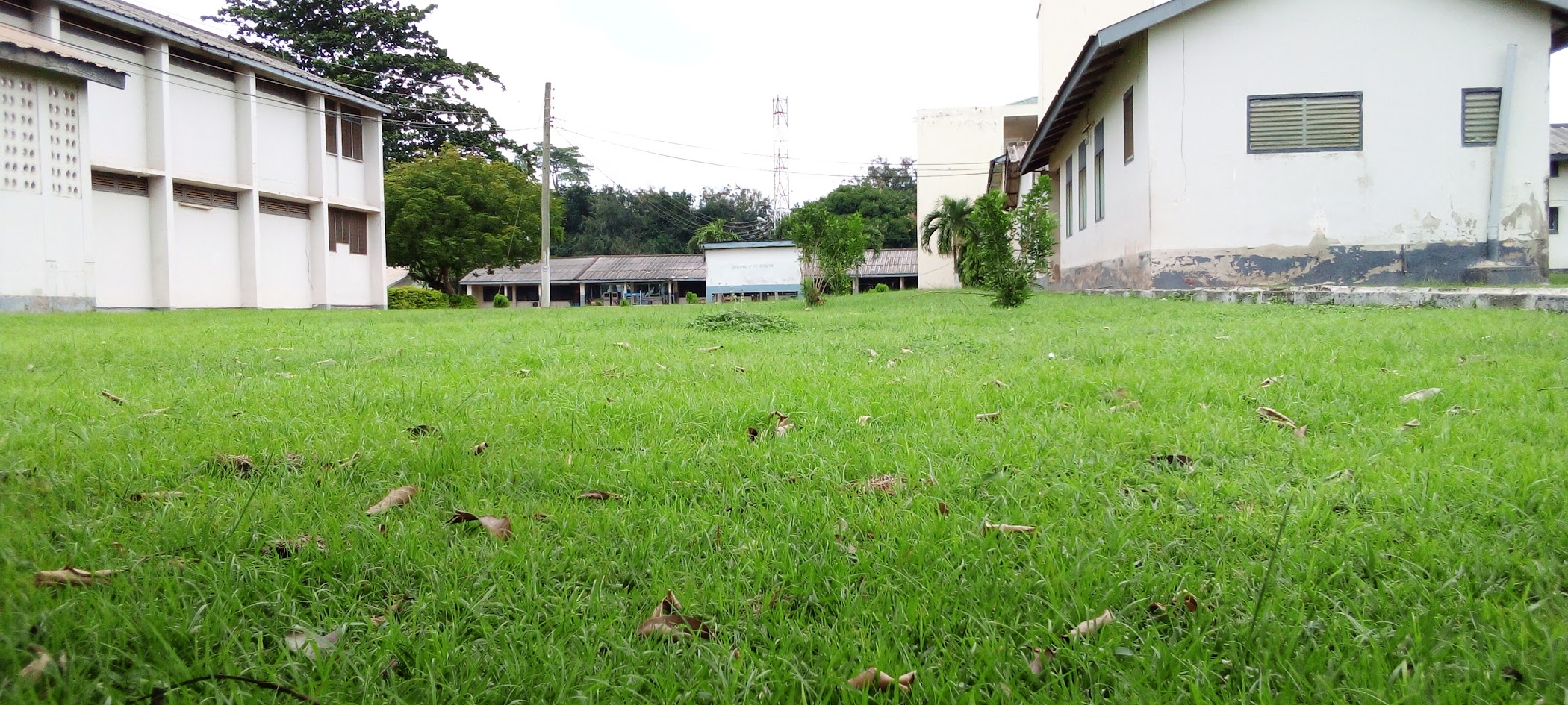 AAMUSTED | Mampong Campus | Akenten Appiah-Menka University of Skills ...