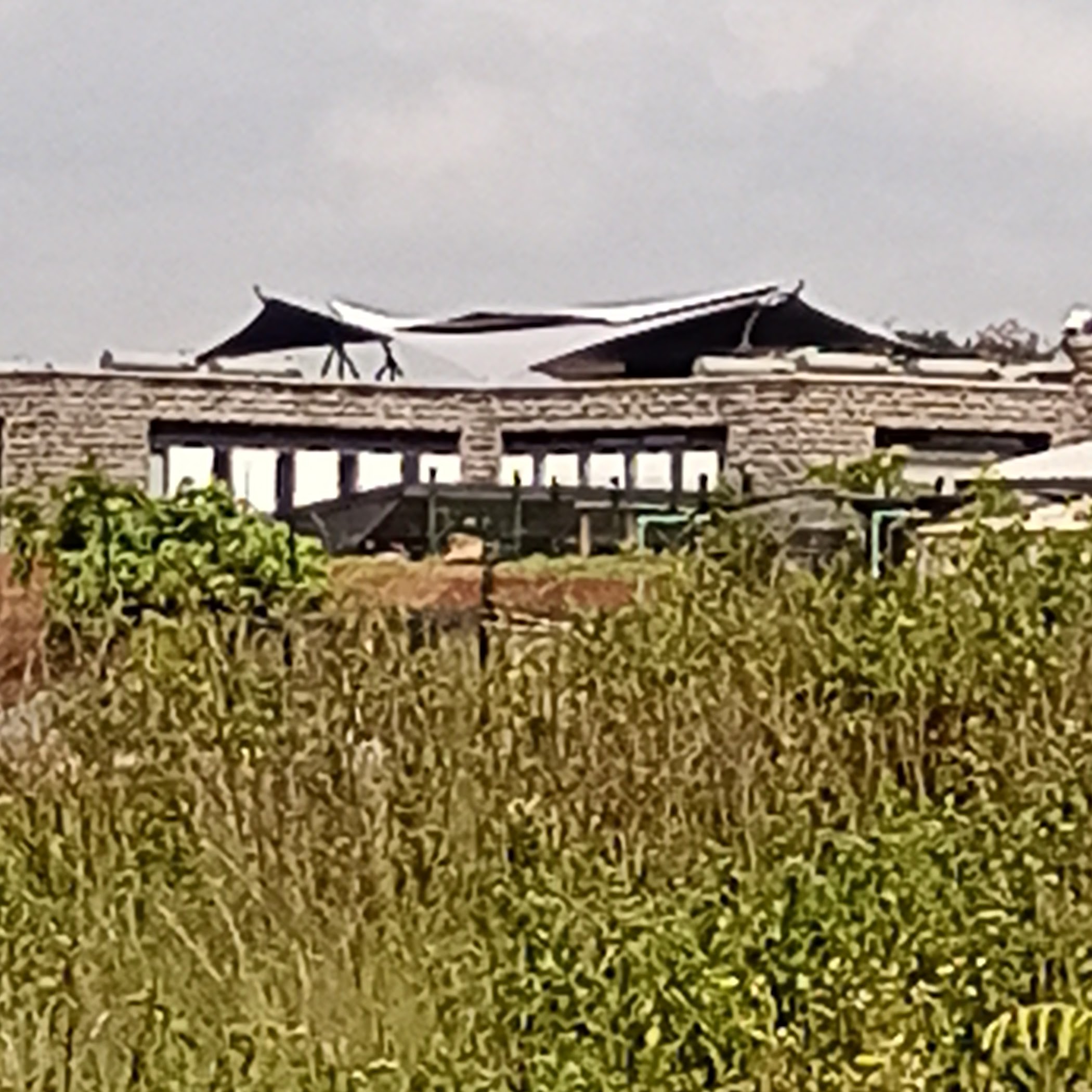 Crawford International School (Tatu City Campus) | Kenya 🇰🇪 ...