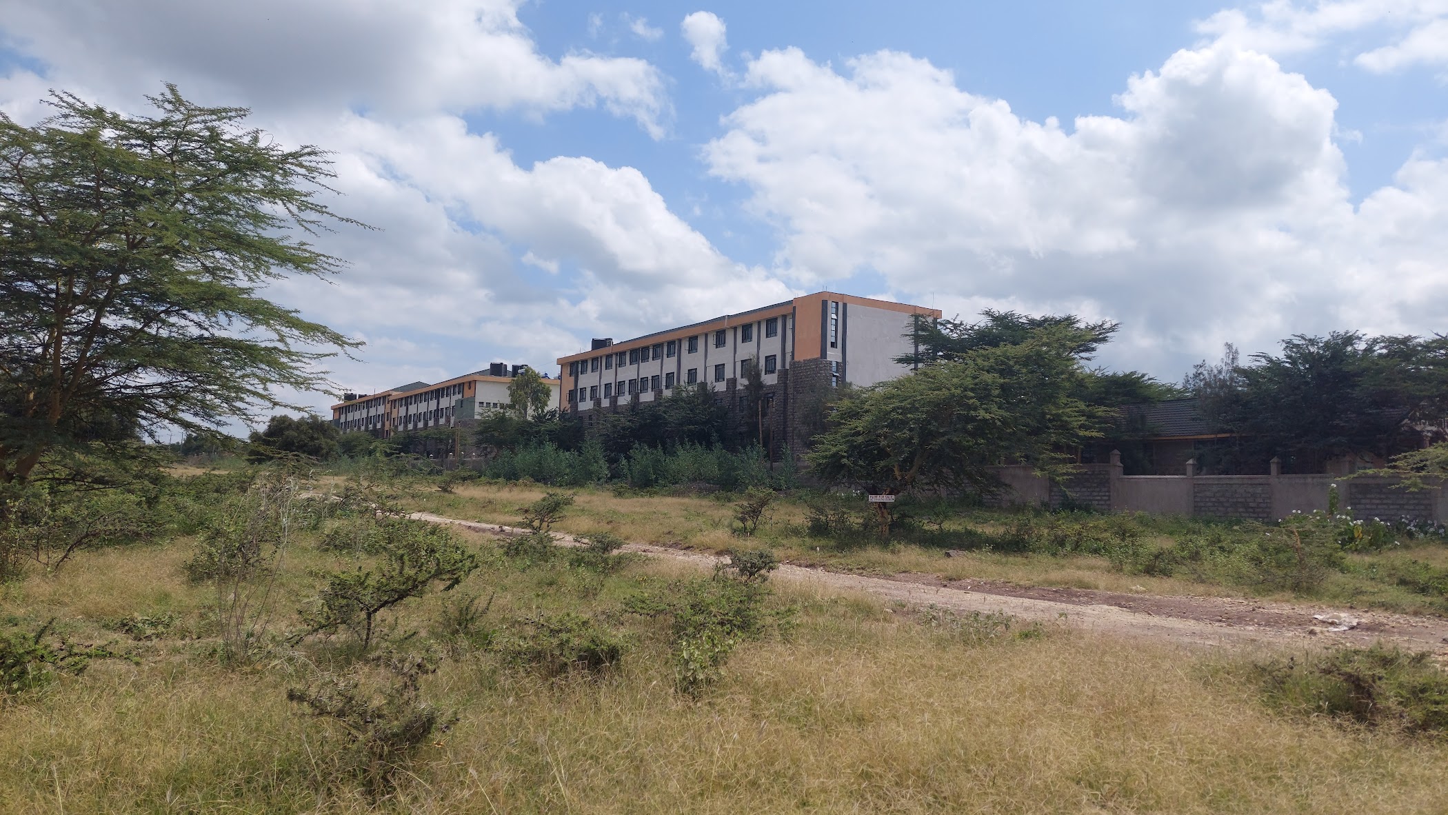 Kitengela International Schools | Kenya 🇰🇪 – TortoisePath | SchoolFinder 🎓