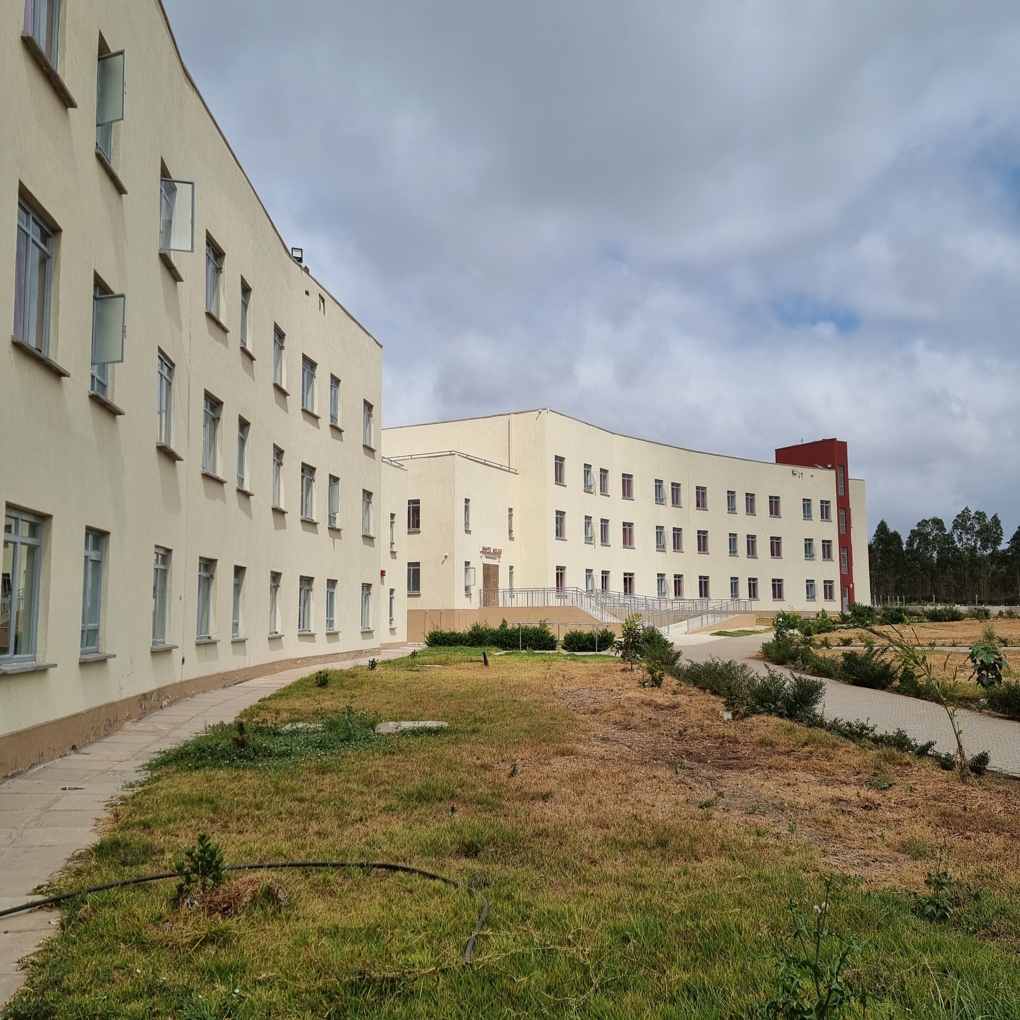 Merishaw School | Kenya 🇰🇪 – TortoisePath | SchoolFinder 🎓