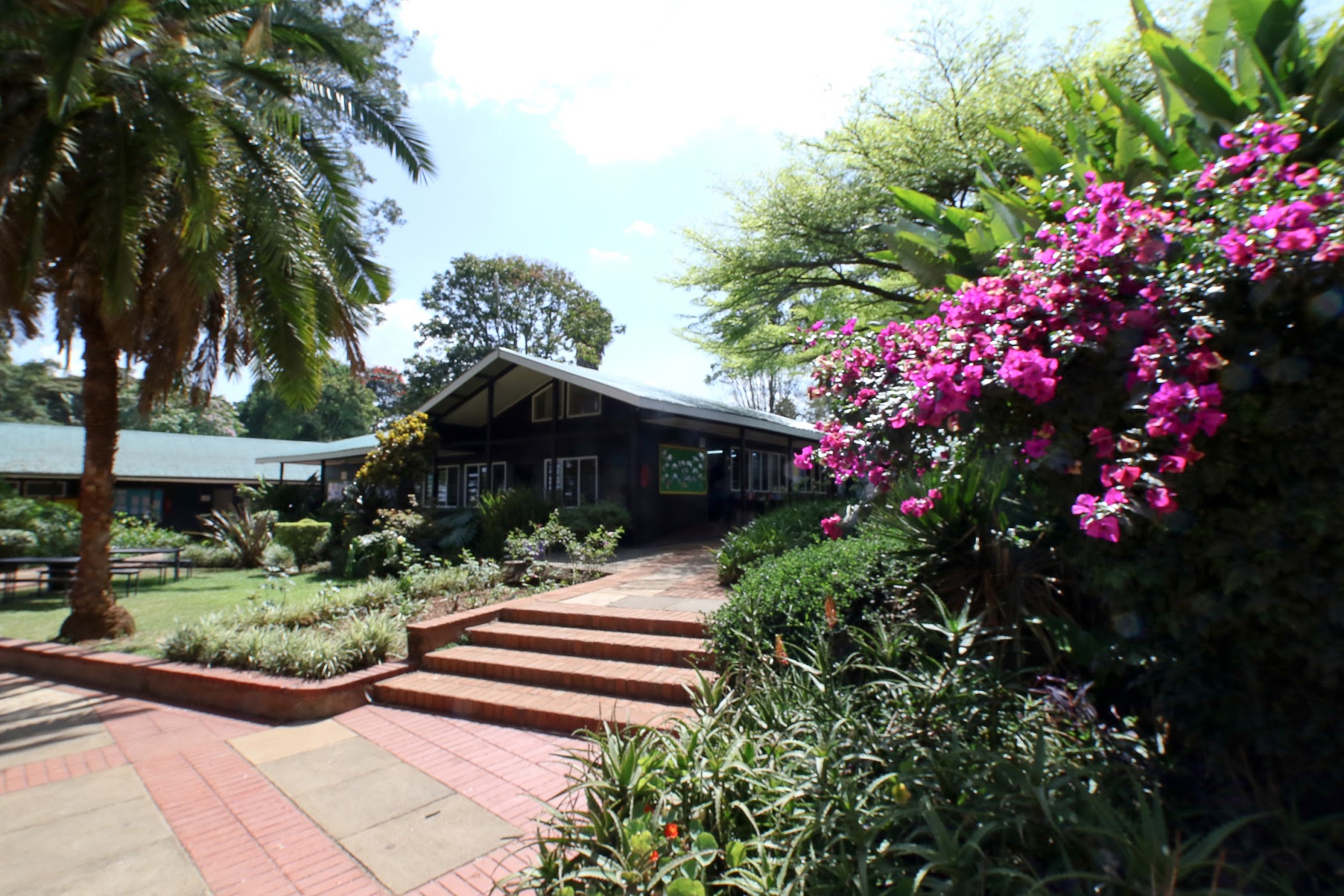 Peponi House Preparatory School | Kenya 🇰🇪 – TortoisePath | SchoolFinder 🎓