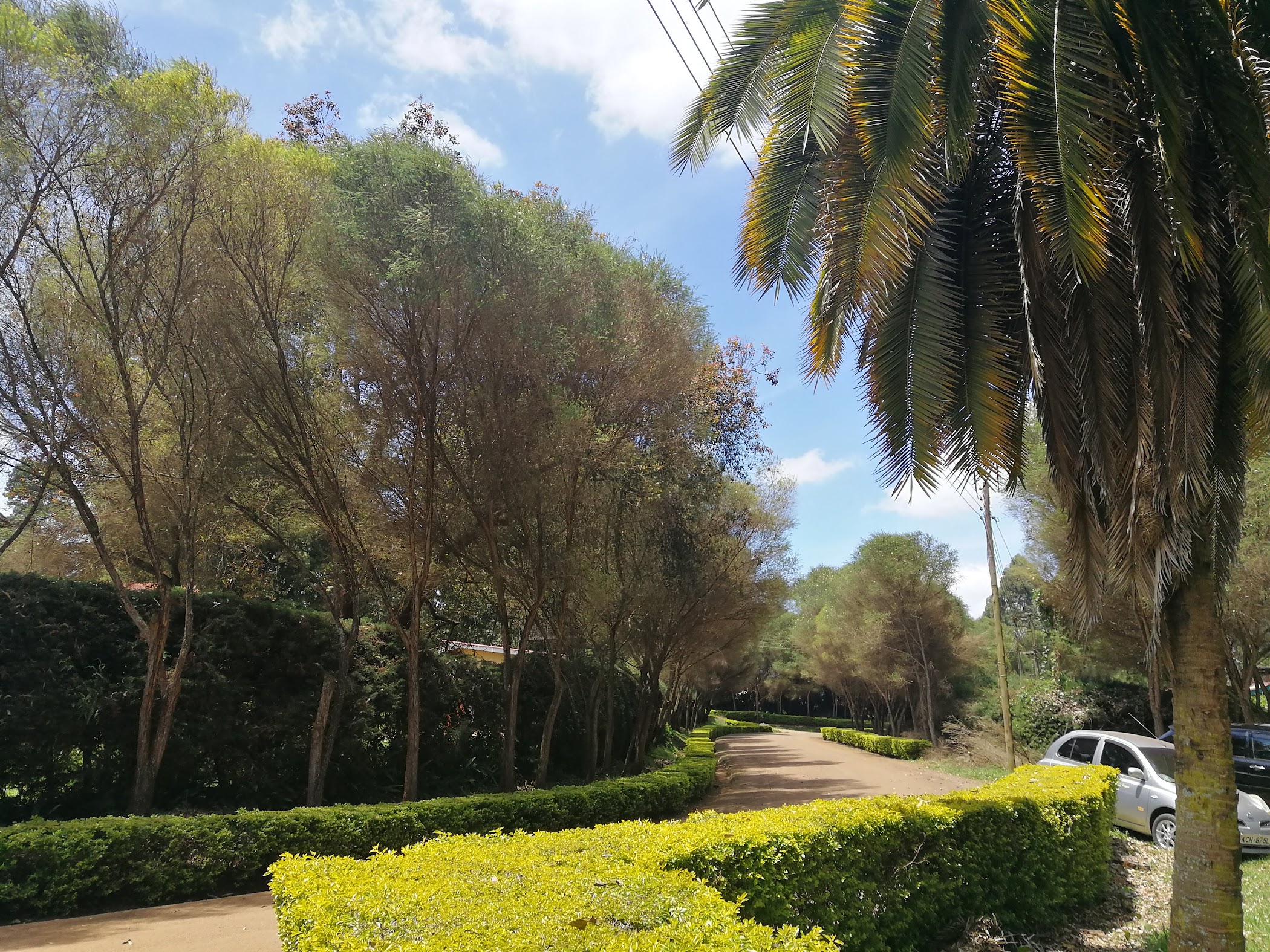 Njiiri School | Kenya 🇰🇪 – TortoisePath | SchoolFinder 🎓