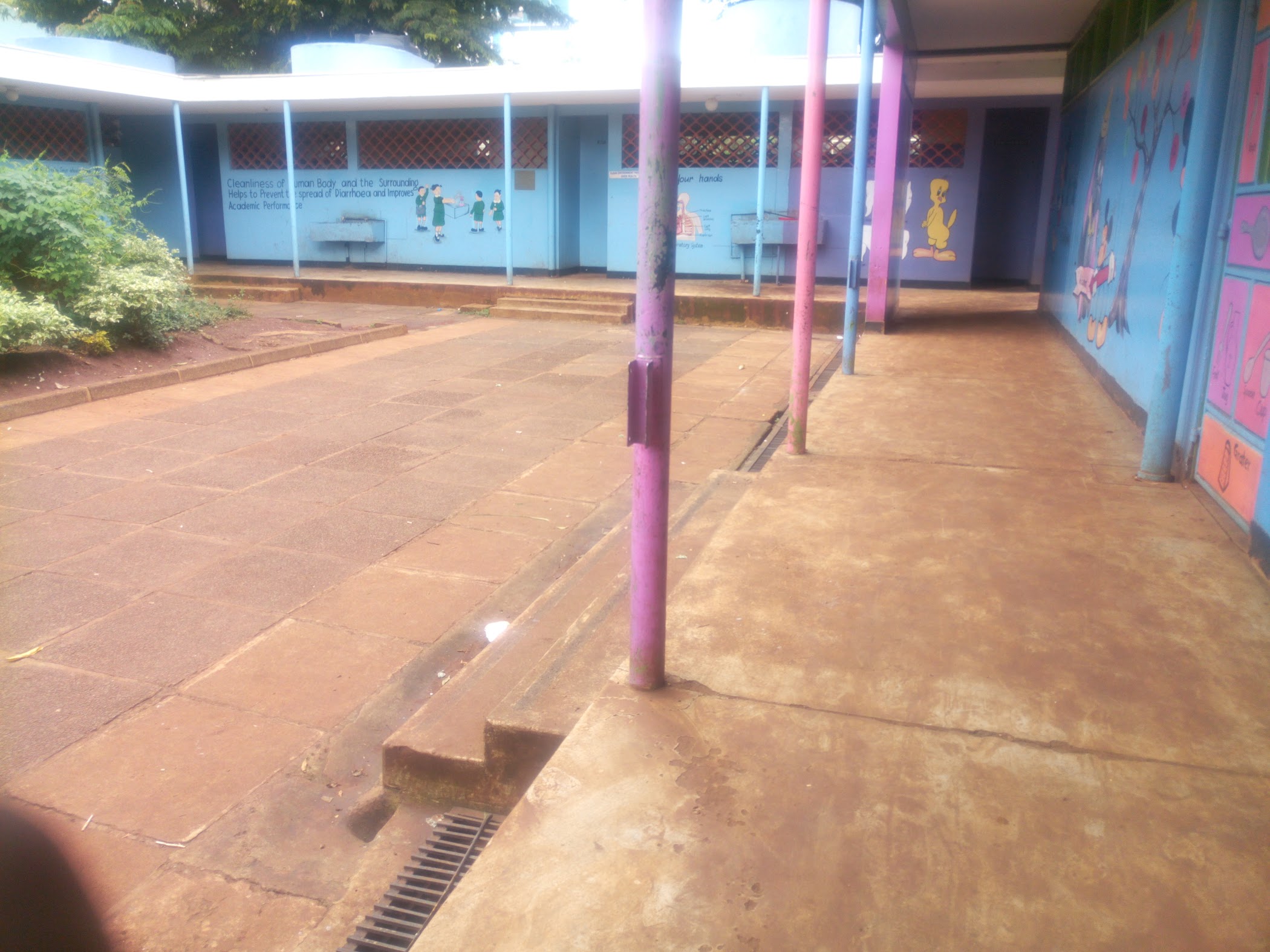 Muguga Green Primary School | Kenya 🇰🇪 – TortoisePath | SchoolFinder 🎓