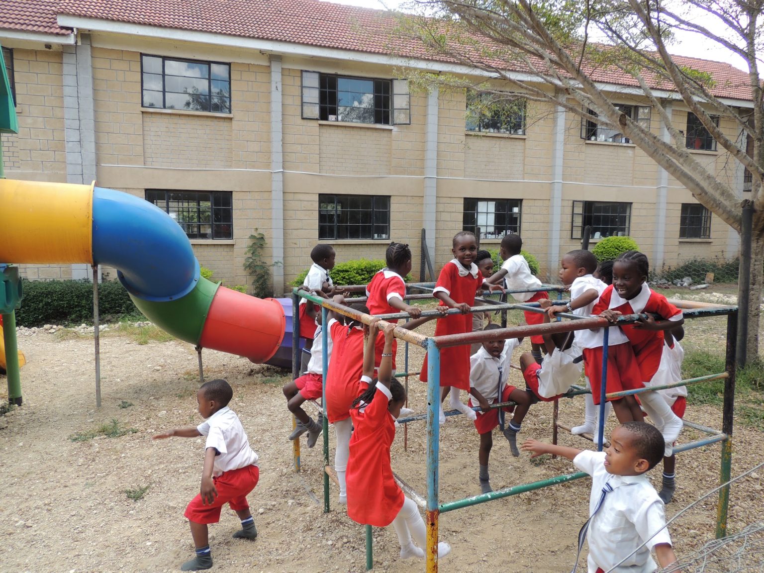Acacia Crest Academy | Kenya 🇰🇪 – TortoisePath | SchoolFinder 🎓
