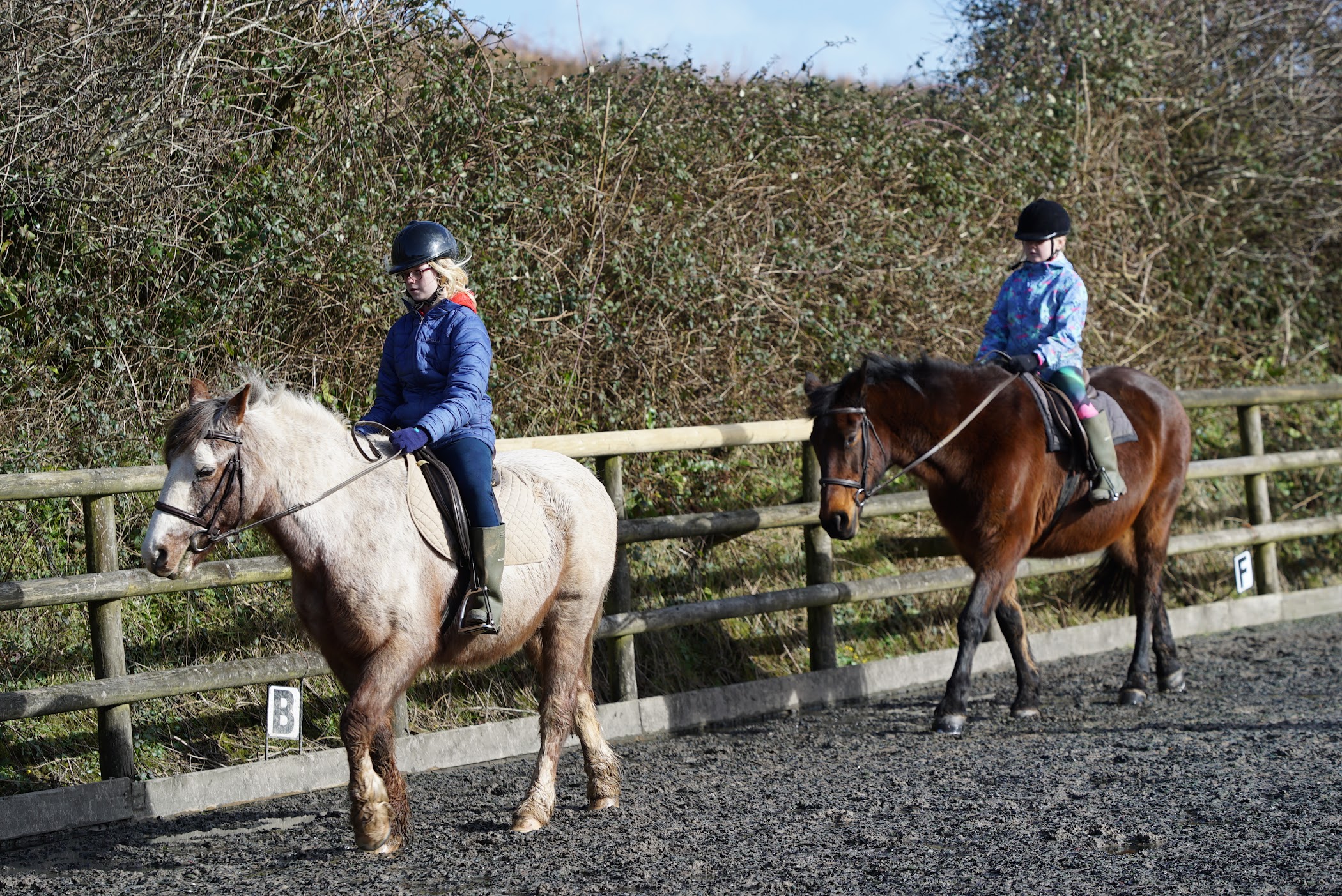 Dean Riding Stables | UK 🇬🇧 – TortoisePath | SchoolFinder 🎓