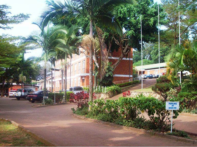 Datamine Technical Business School | Uganda 🇺🇬 – TortoisePath ...