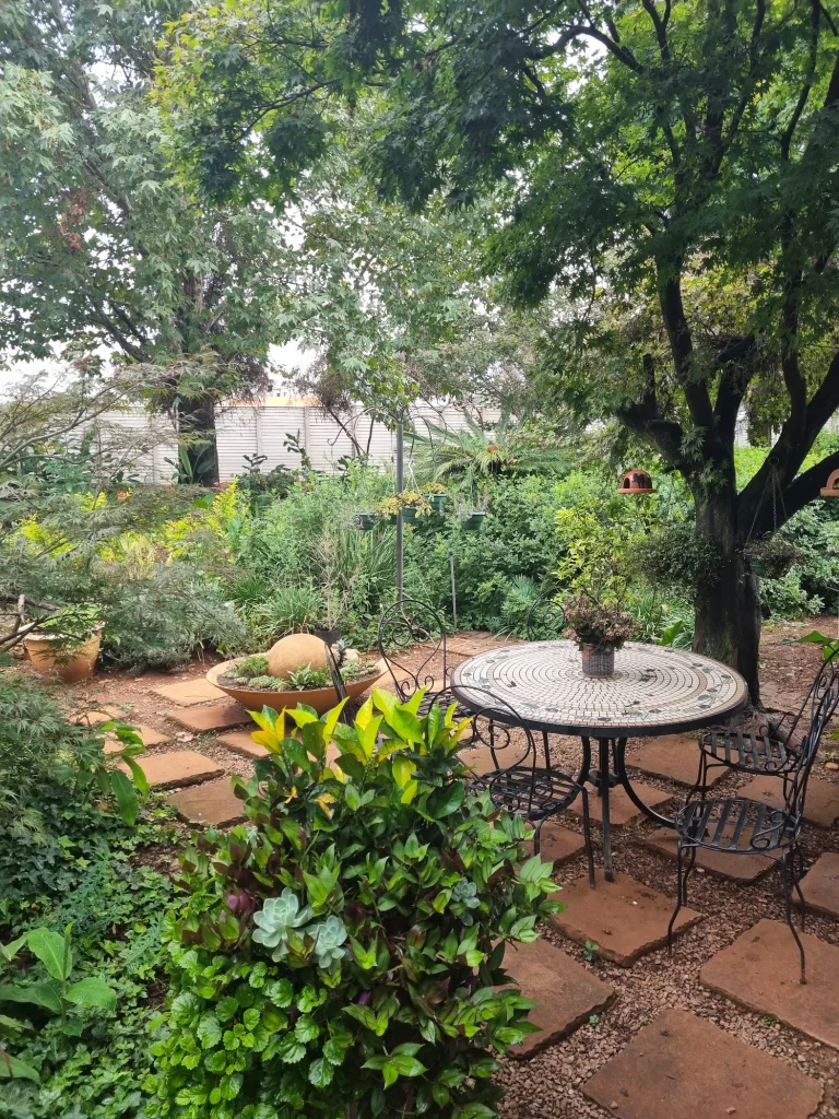 Rock Cod Country Restaurant – TortoisePath | Southafrica 🇿🇦