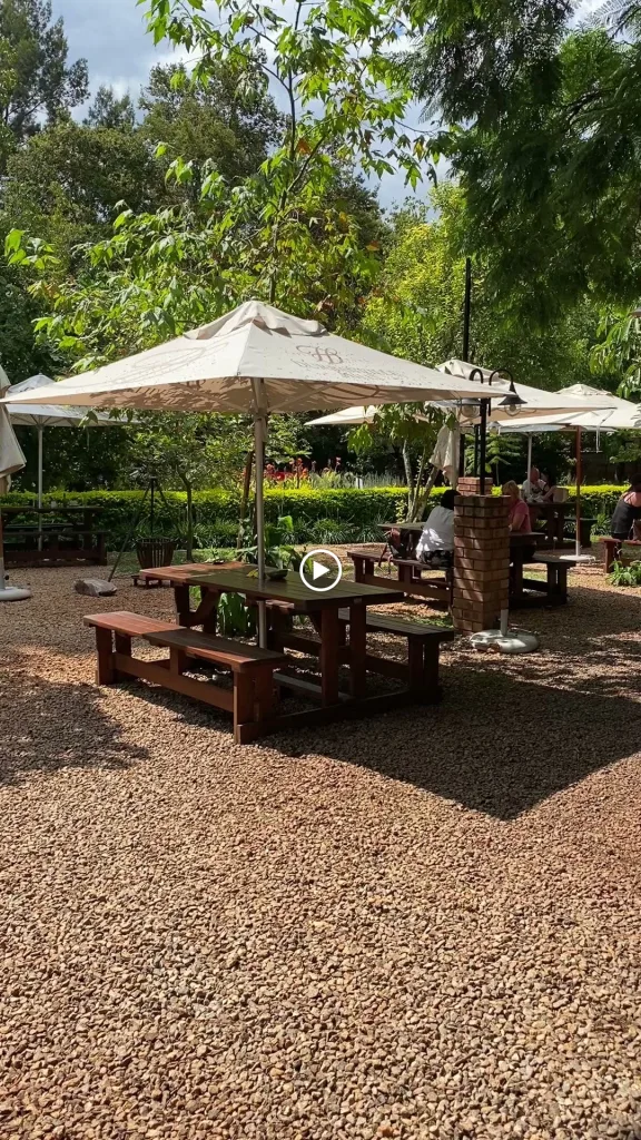 Rock Cod Country Restaurant – TortoisePath | Southafrica 🇿🇦