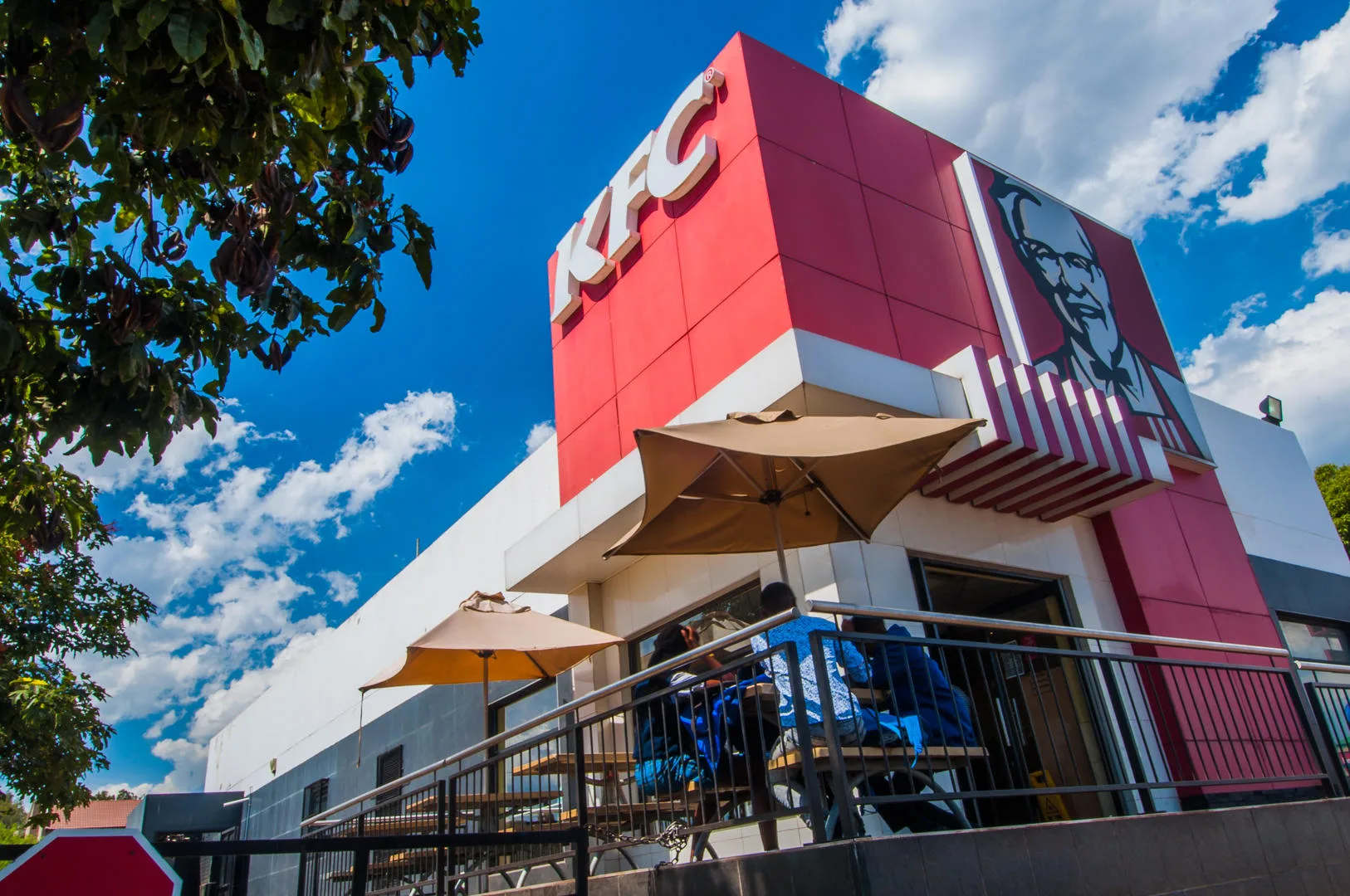 KFC | Bergbron – TortoisePath | Southafrica 🇿🇦