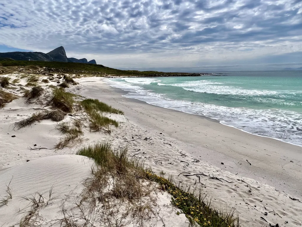 Buffels Bay Beach – TortoisePath | Southafrica 🇿🇦