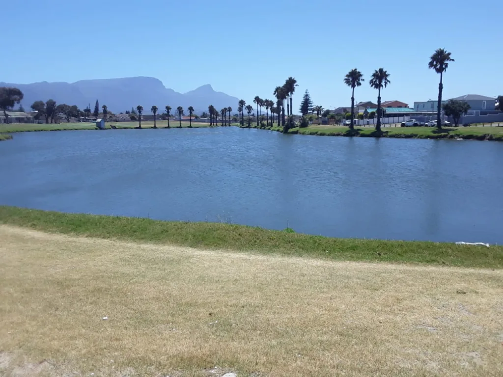 Milnerton Golf Club – TortoisePath | Southafrica 🇿🇦