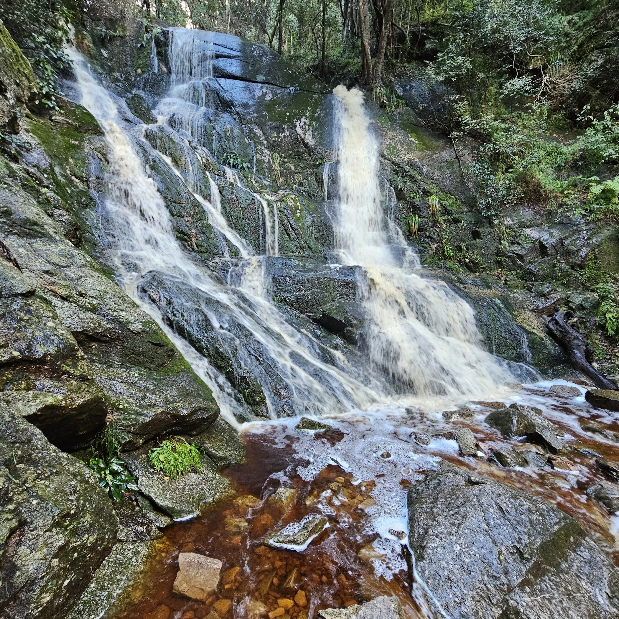 Skeleton Gorge Waterfall – TortoisePath | Southafrica 🇿🇦