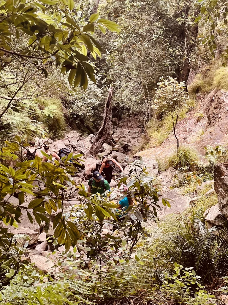Skeleton Gorge Waterfall – TortoisePath | Southafrica 🇿🇦