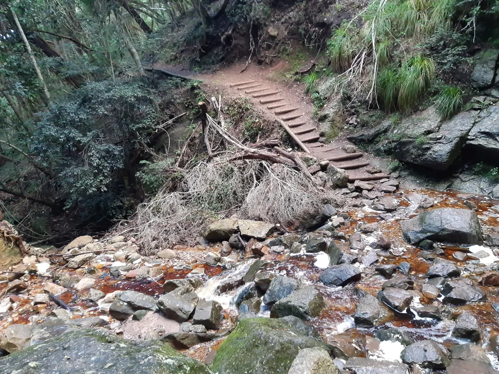 Skeleton Gorge Waterfall – TortoisePath | Southafrica 🇿🇦