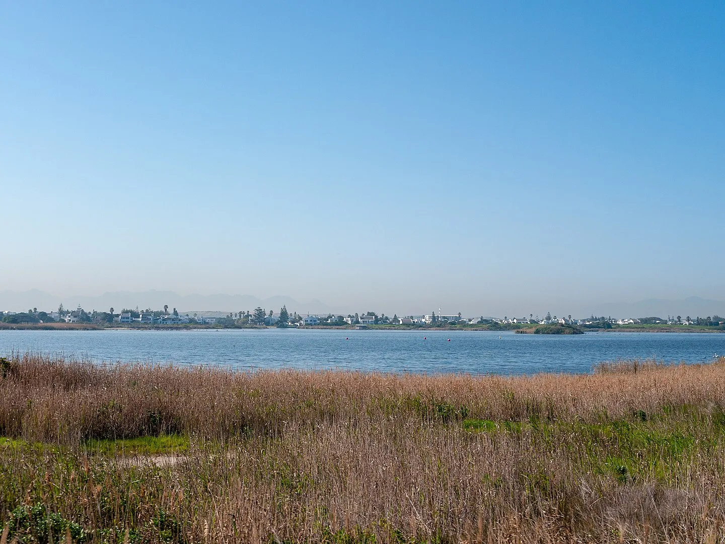 Zandvlei Estuary Nature Reserve – TortoisePath | Southafrica 🇿🇦