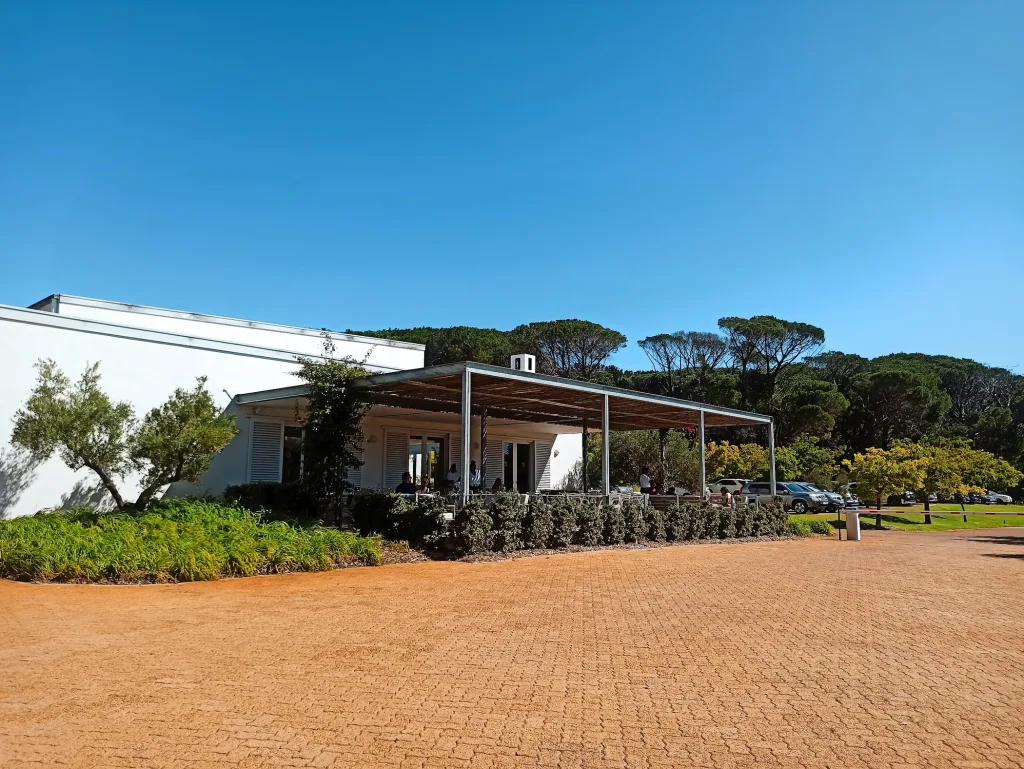 Morgenster Estate – TortoisePath | Southafrica 🇿🇦