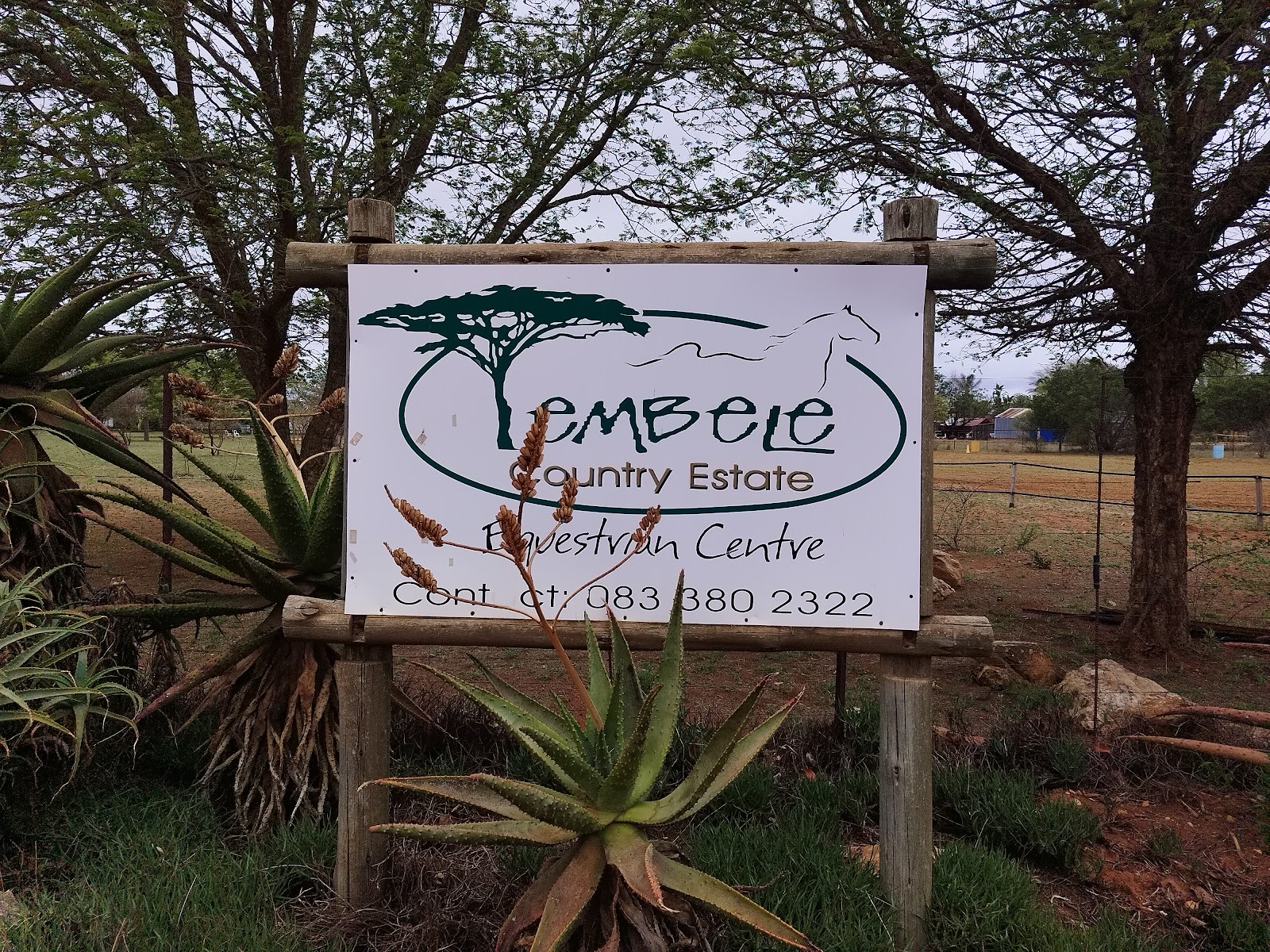 Tembele Country Estate & Equestrian Centre – TortoisePath | Southafrica 🇿🇦