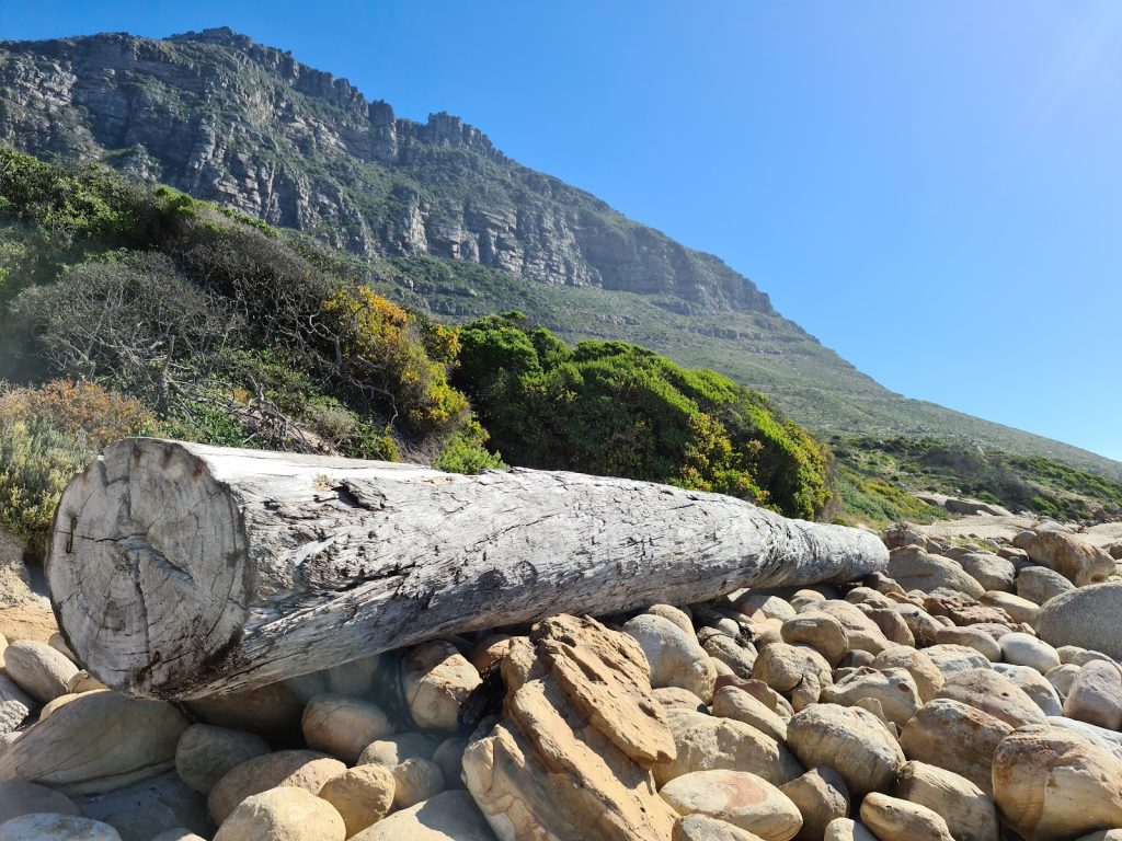 Sandy Bay, Cape Town guide and local context – TortoisePath News